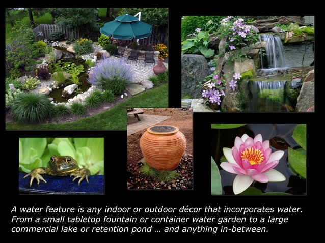 Waterscaping Your Landscape | PPT