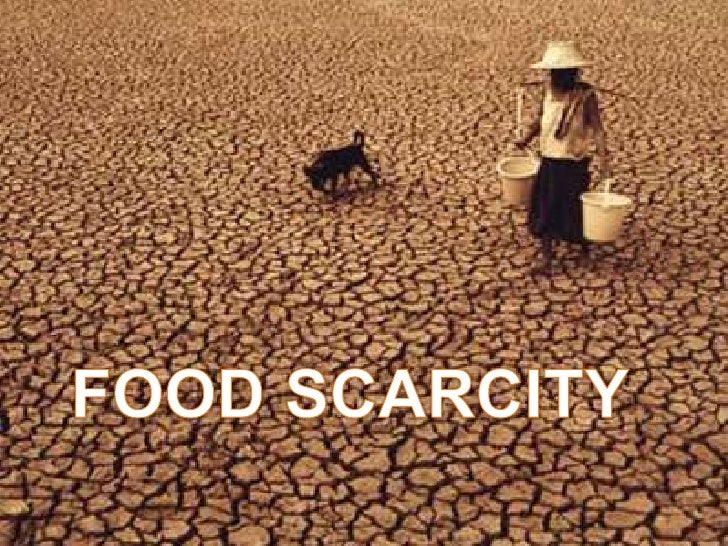 Anshika needed for water and food scarcity