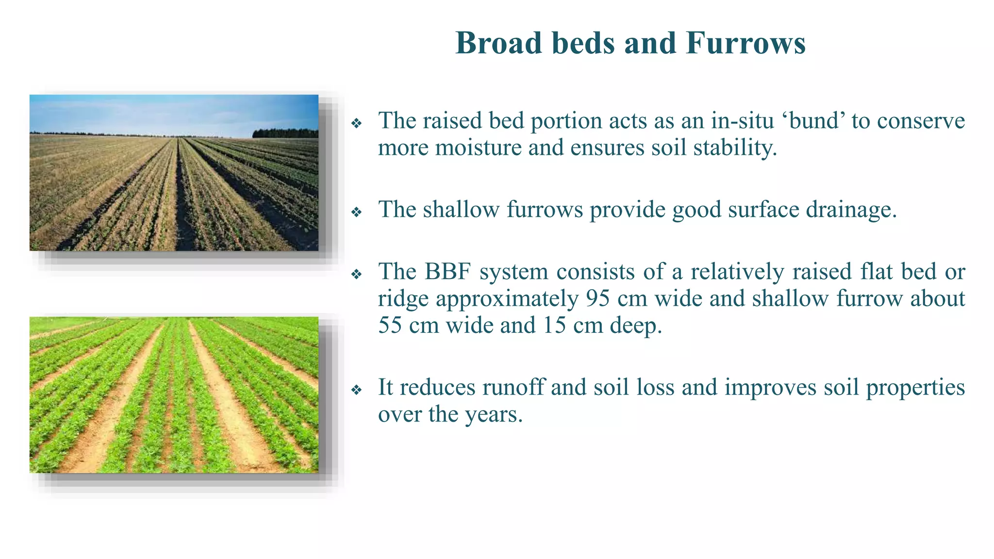 Watershed Management for Sustainable Development of Rainfed areas | PPTX