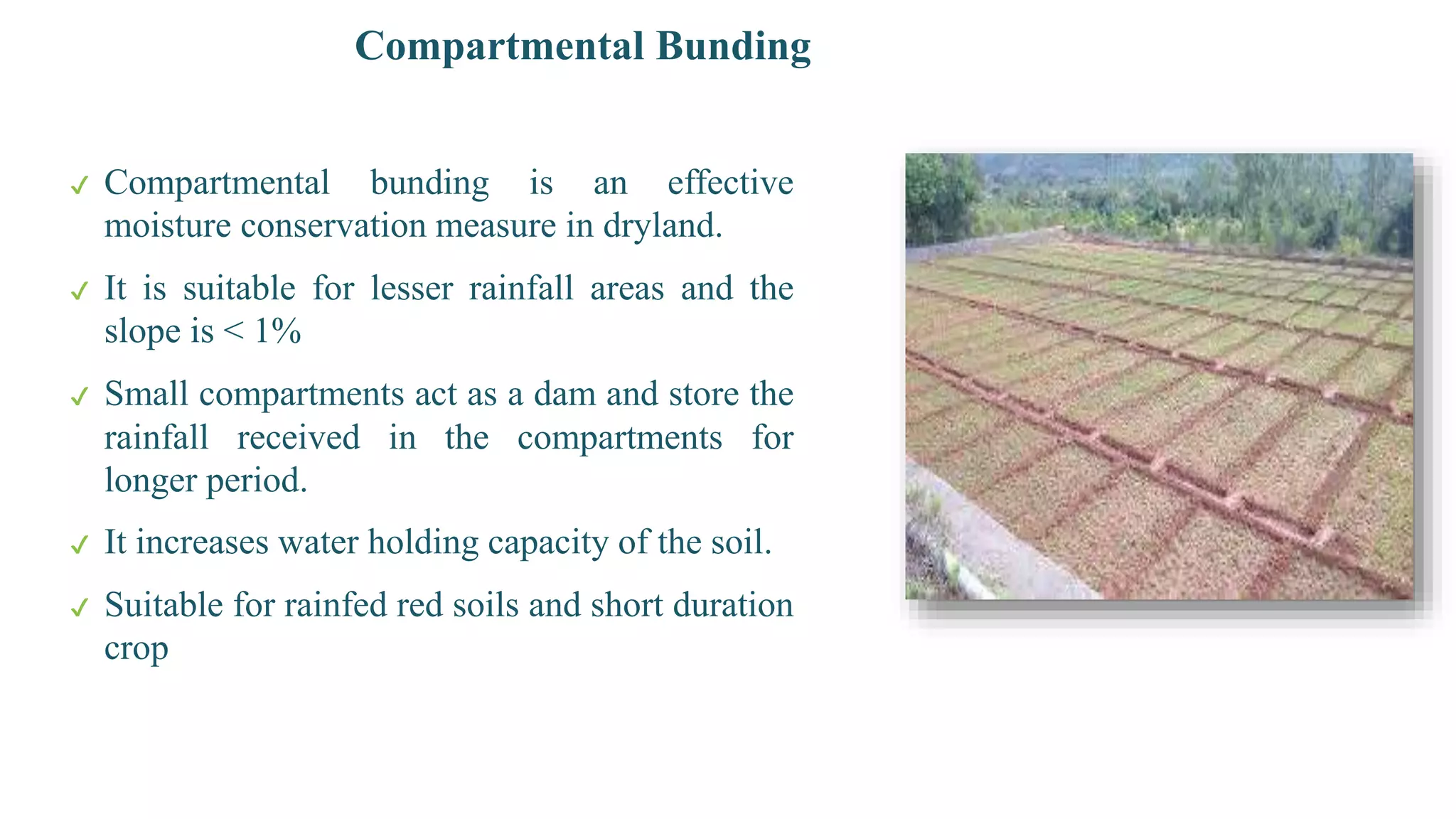 Watershed Management for Sustainable Development of Rainfed areas | PPTX