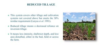 Watershed Management for Sustainable Development of Rainfed areas | PPTX