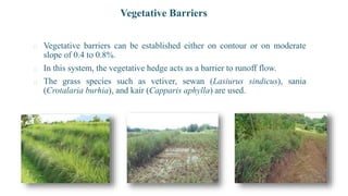 Watershed Management for Sustainable Development of Rainfed areas | PPTX