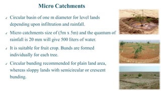 Watershed Management for Sustainable Development of Rainfed areas | PPTX