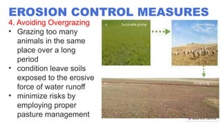 Watershed-Management-Causes-and-Control-of-Erosions-in-Kano-Region.pptx