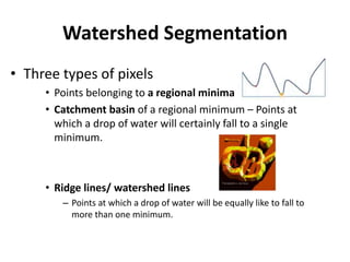 Watershed Algorithm for segmentation .pptx