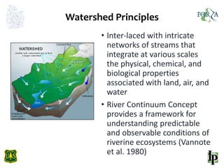 Watershed approach | PDF