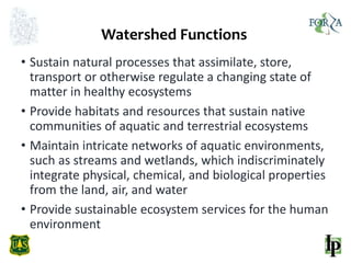 Watershed approach | PDF