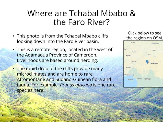 Watershed Delineation in ArcGIS | PPTX | Databases | Computer Software ...