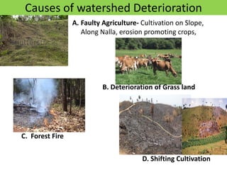 Watershed development for sustainable resource utilization pdf | PDF
