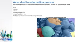 Watershed image ansam hadi | PDF