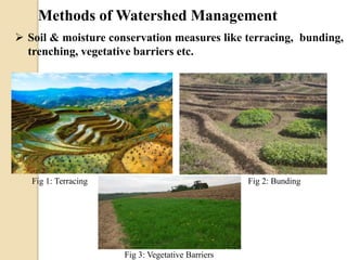 Watershed management | PPTX