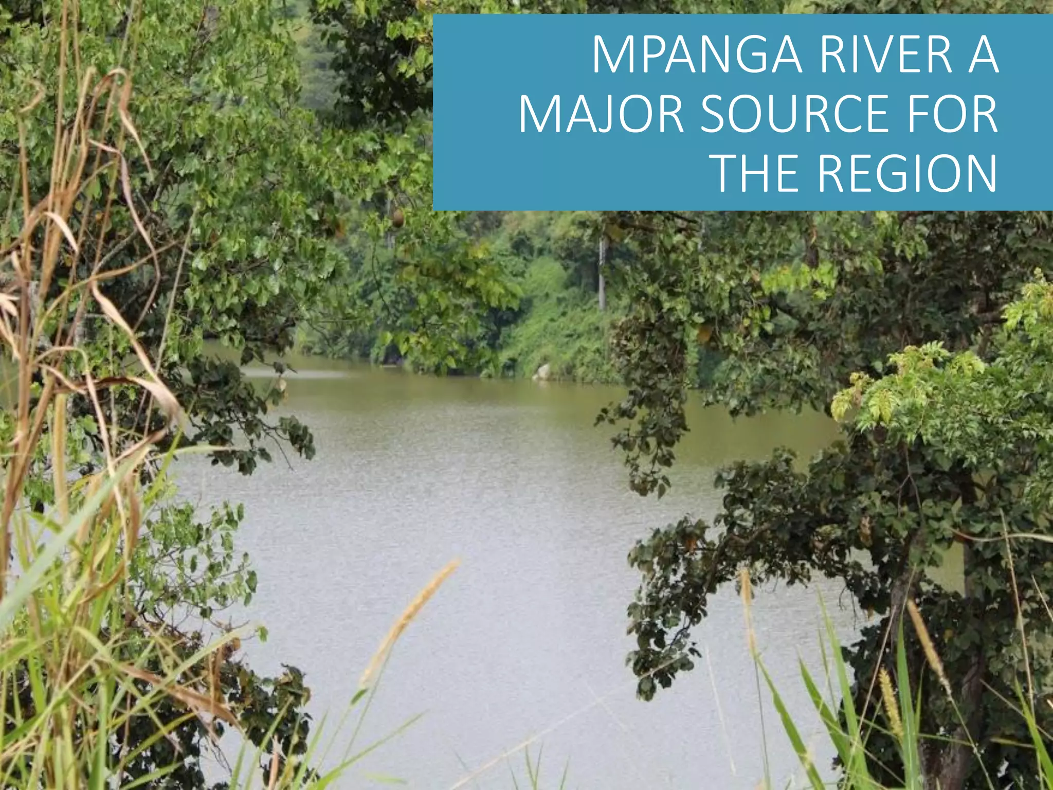Watershed - Joint effort to save river Mpanga | PDF
