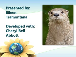 Watershed quiz | PPTX