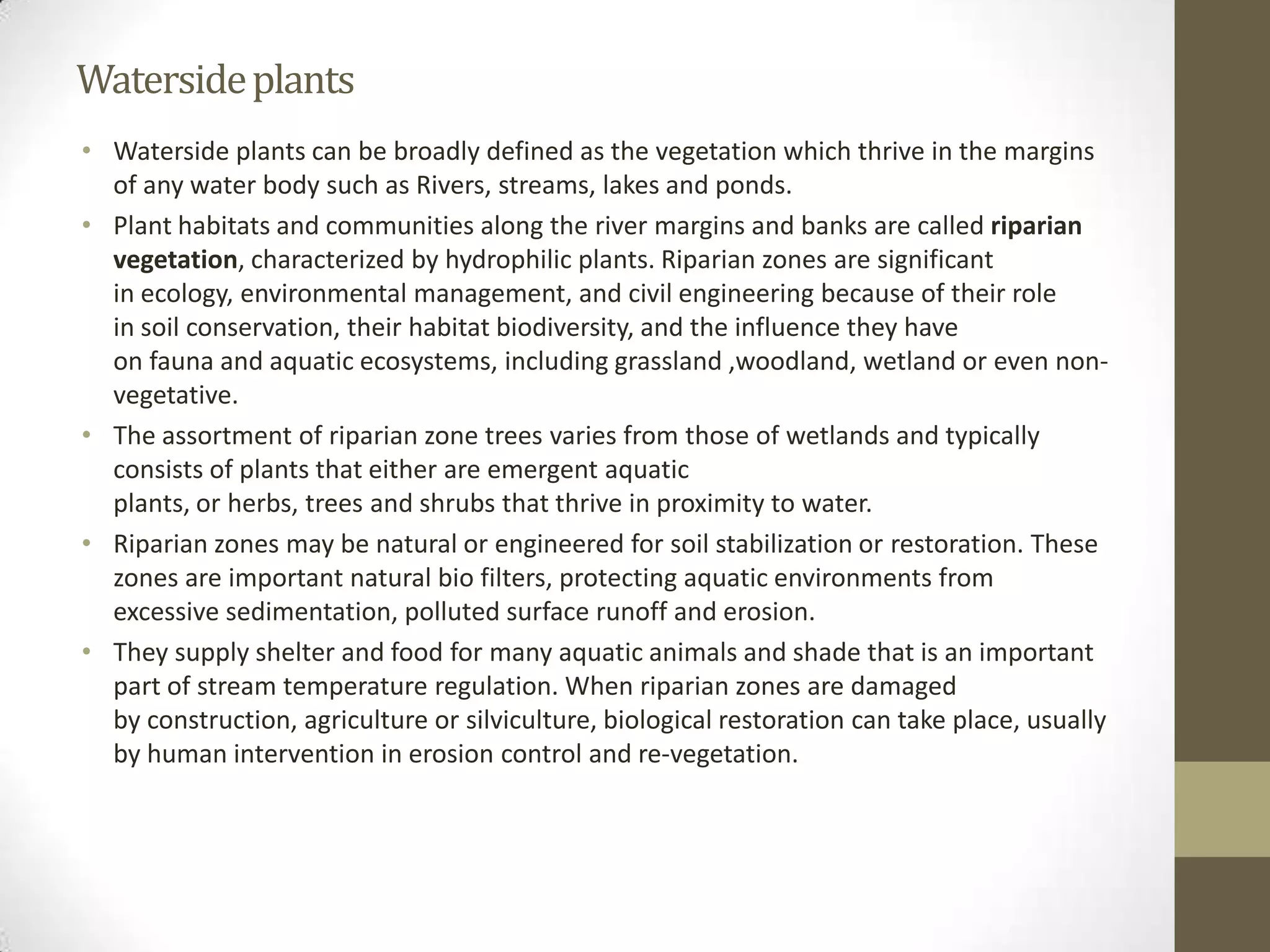 Water side and aquatic plants | PPTX