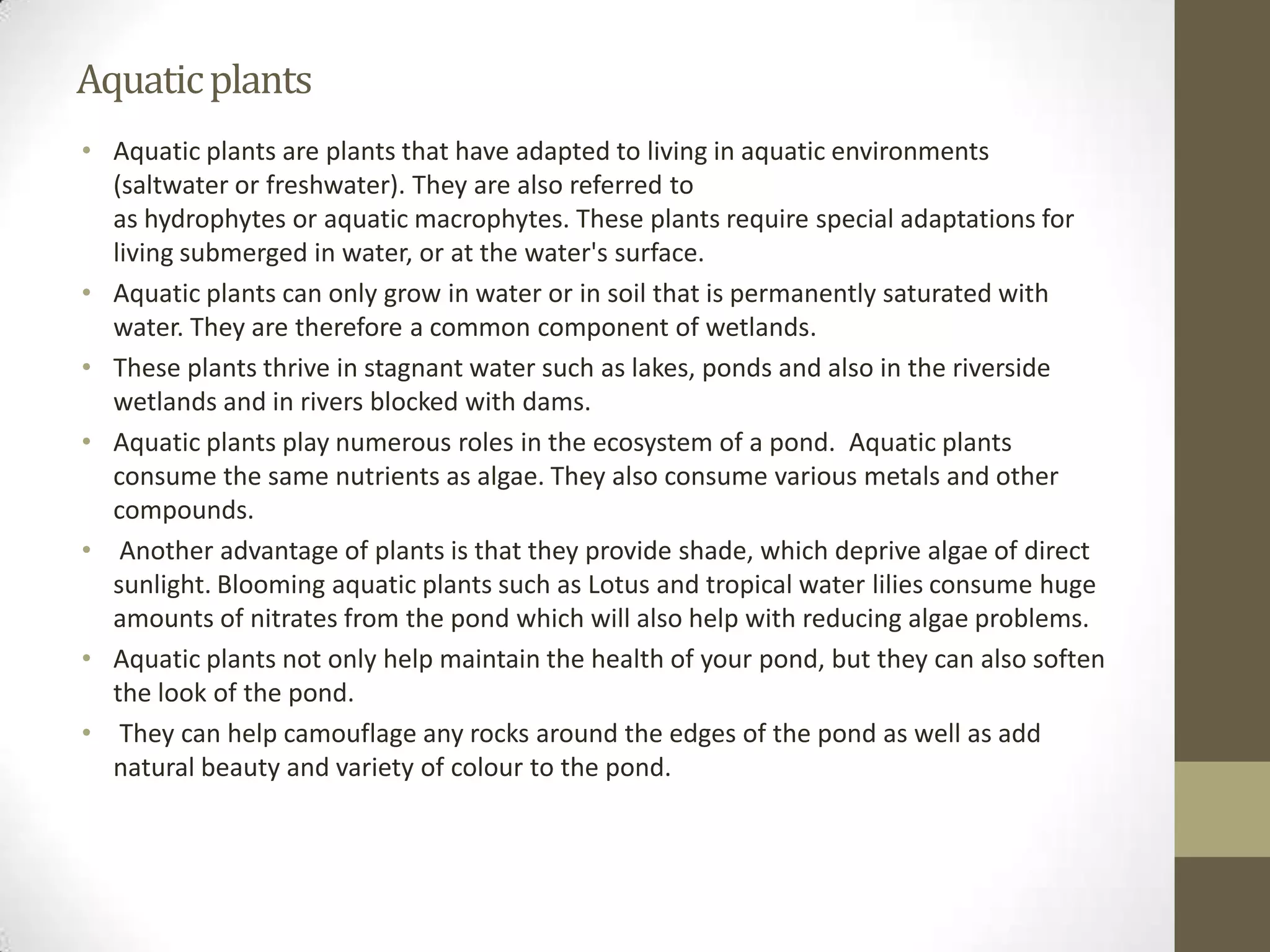 Water side and aquatic plants | PPTX