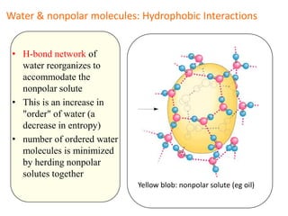 Water soluble interaction.pptx
