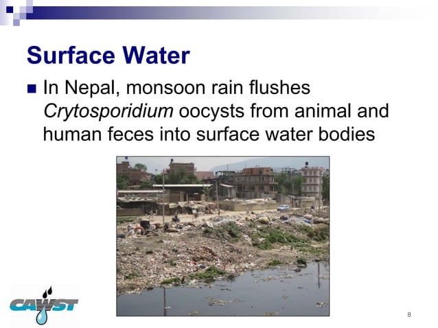 Water Sources & Pathogens | PDF | Medical Health