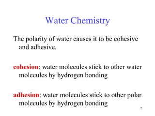 waters_properties_ppt.ppt