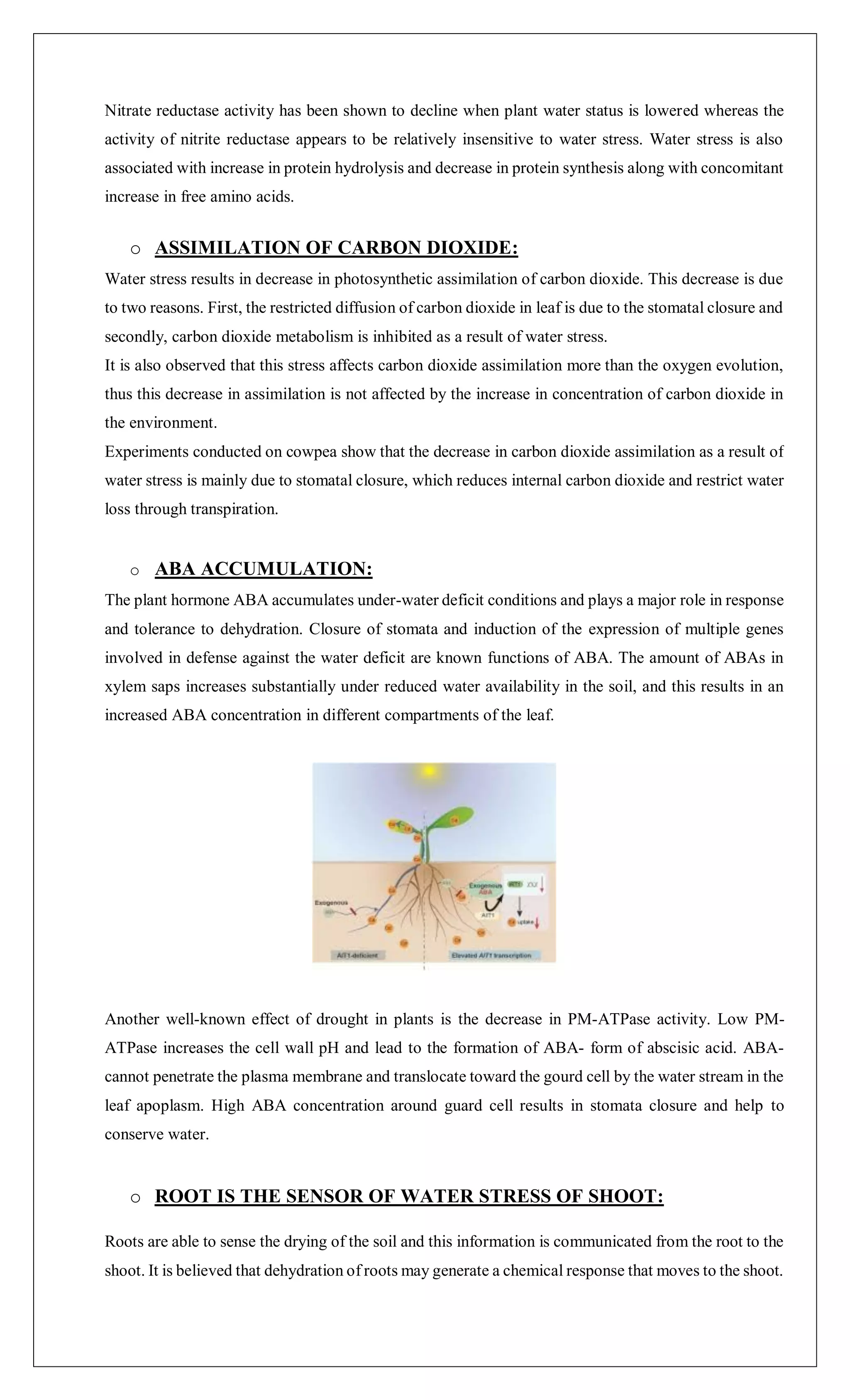 Water stress & physiological consequences in plant growth.pdf