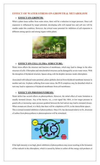 Water stress & physiological consequences in plant growth.pdf