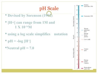 Water structure | PPT