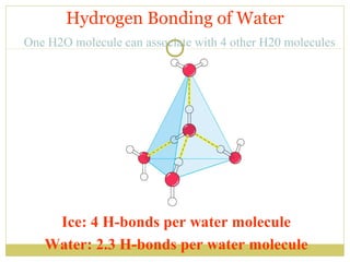 Water structure | PPT