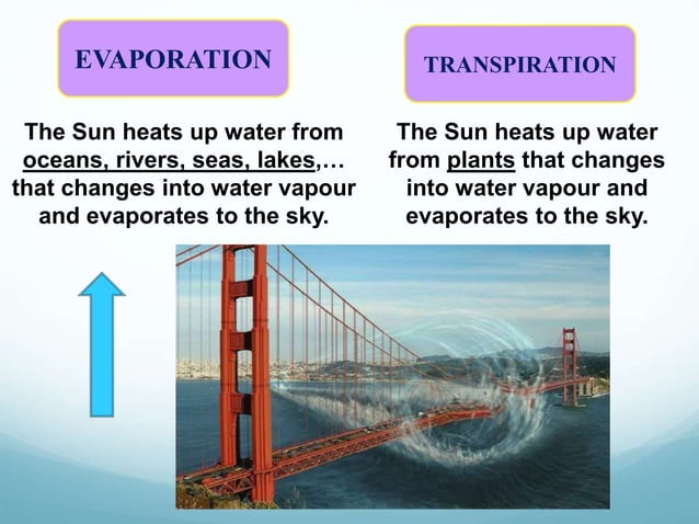 Water superheroes | PPTX