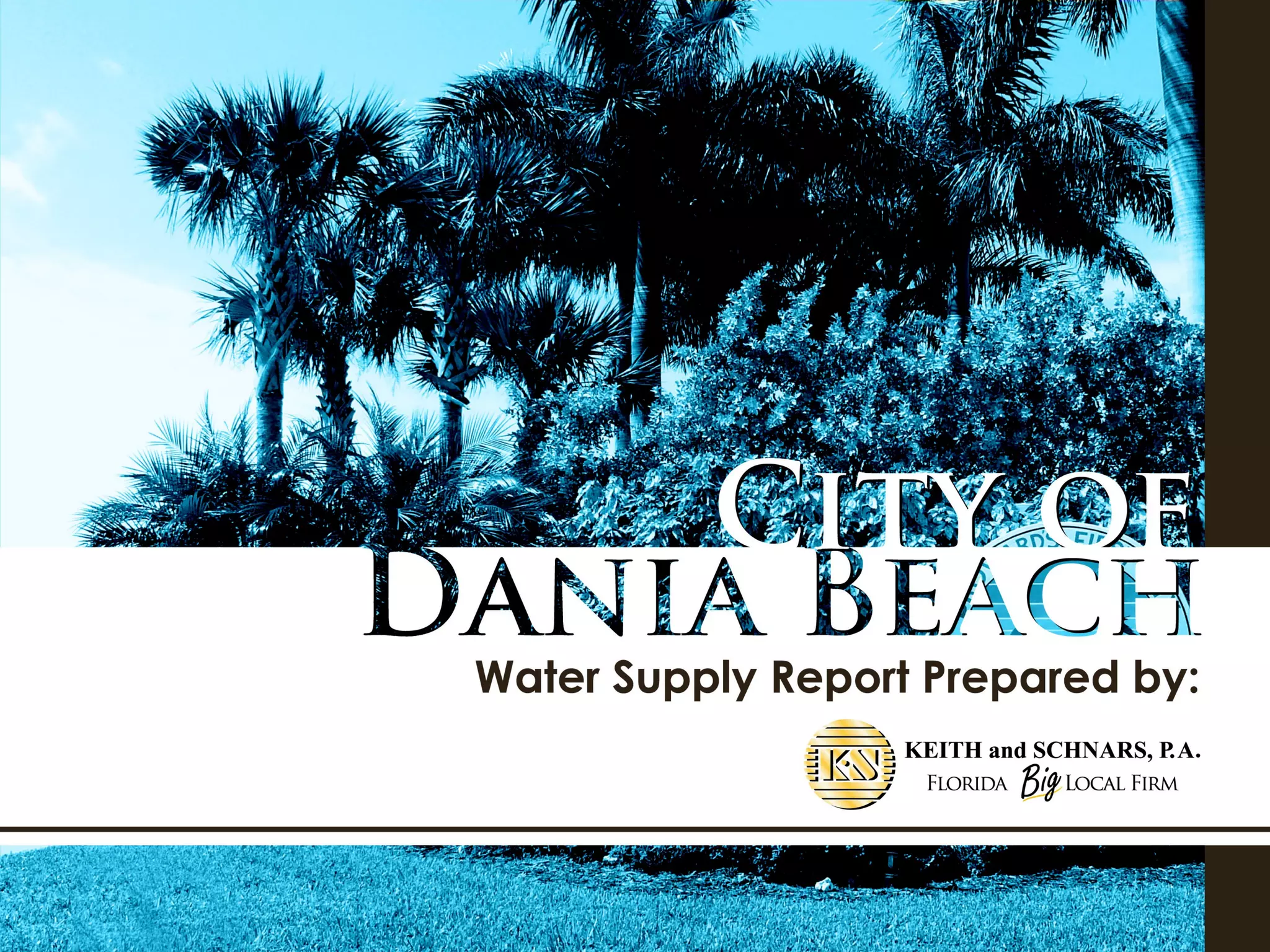 Water Supply Report | PPT