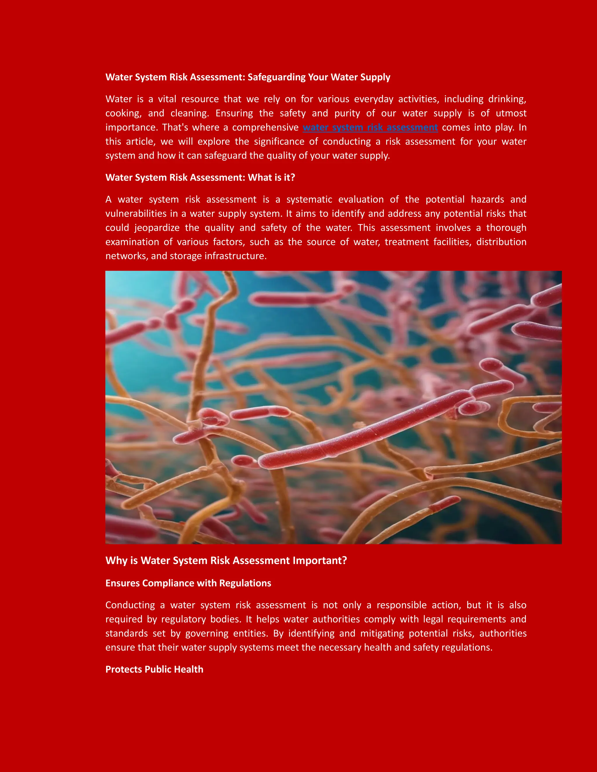 Water System Risk Assessment | PDF