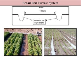 Advanced irrigation techomolgies techonolgies | PPTX