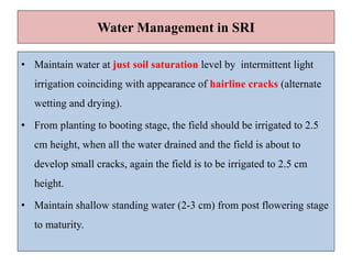 Advanced irrigation techomolgies techonolgies | PPTX
