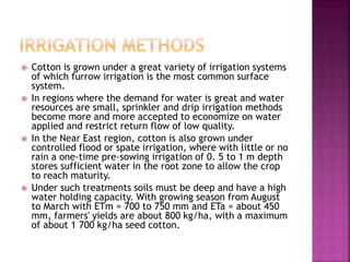 Water management in cotton presentation | PPTX