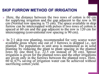 Water management in cotton presentation | PPTX