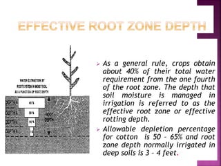 Water management in cotton presentation | PPTX