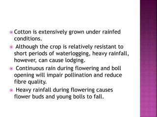 Water management in cotton presentation | PPTX