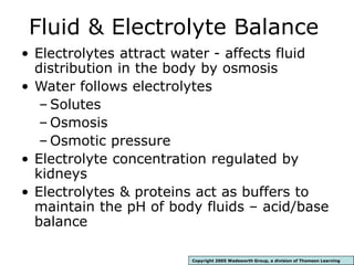 Water and Body Fluids Balance Osmolarity | PPT