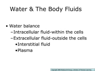 Water & The Body Fluids IN CELLLS OF ANIMAL | PPT