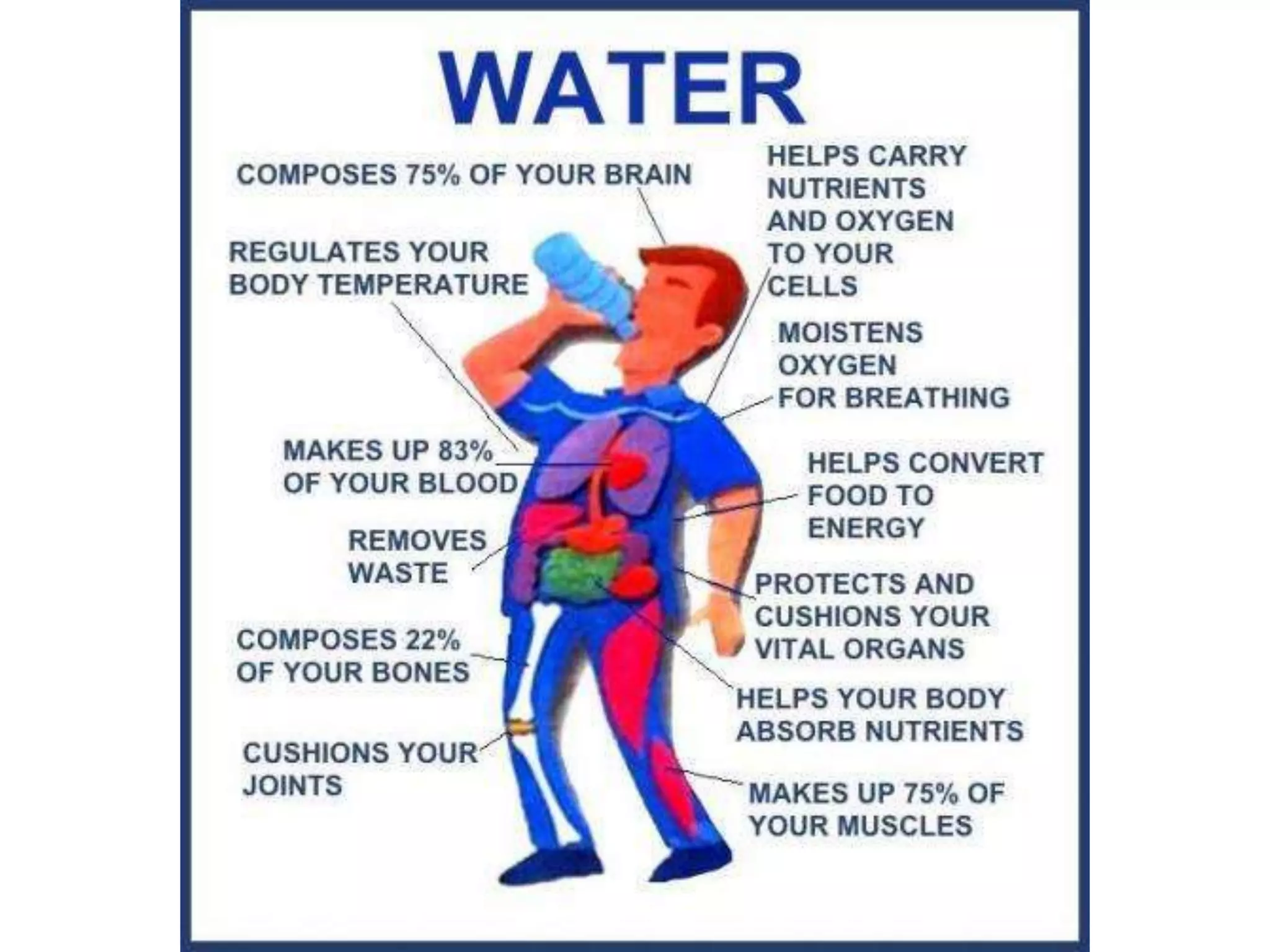 Importance of water in Islam | PPTX