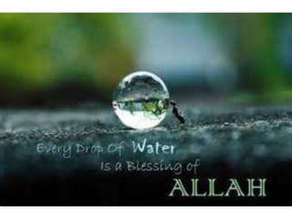 Importance of water in Islam | PPTX