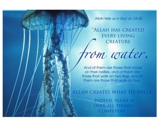 Importance of water in Islam | PPTX