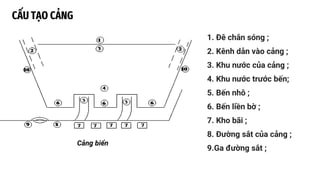 Water Transport Infographics by Slidesgo.pptx
