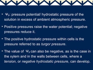 Water transport processes | PPTX
