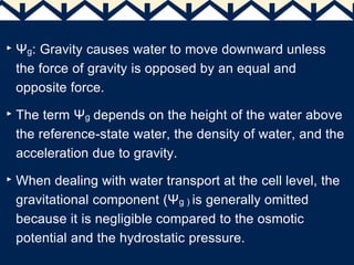 Water transport processes | PPTX