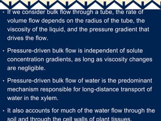 Water transport processes | PPTX