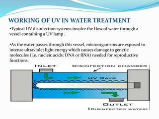 Water treatment-WATER TREATMENT PROCESS-OZONISATION AND UV APPLICATION ...