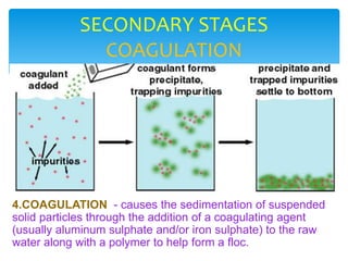 Water Treatment and Waste Water Treatment | PPT
