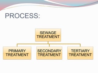 Sewage Water treatment | PPTX