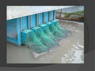 Water Treatment Process (Screening) | PPTX