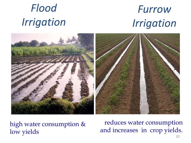Water use efficiency | PPTX