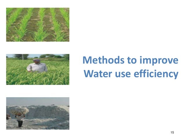 Water use efficiency